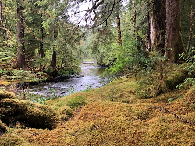 Haida Gwaii's Magical Mix of Culture, Adventure | Clark Norton
