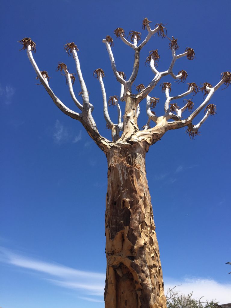 Namibia: African Land of Sand and Strudel | Clark Norton