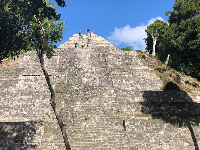 Journey to Yaxha: Pyramids, Monkeys, and Myths | Clark Norton